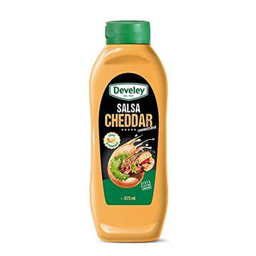 Cheddar Salsa 875 Ml – Italian Gourmet FR